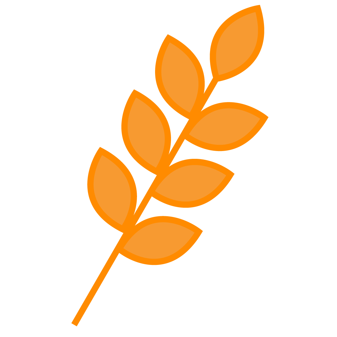 Granos – Mary's Health Foods